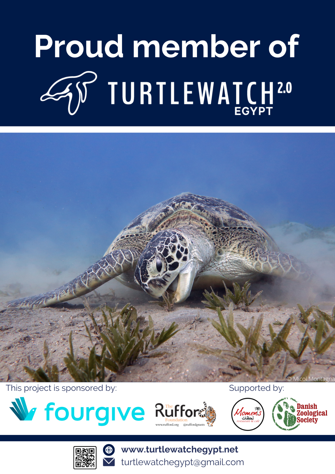 Turtlewatch